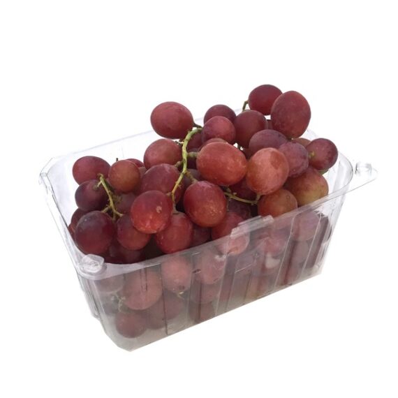 Peashoots (100g Punnet) - Torbay Fruit Sales