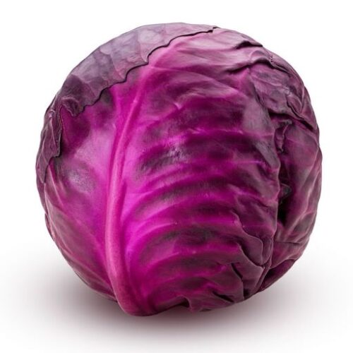 Red Cabbage Large (Each) - Torbay Fruit Sales
