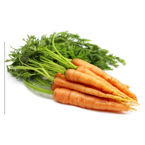 Bunched Carrots (Each) - Torbay Fruit Sales